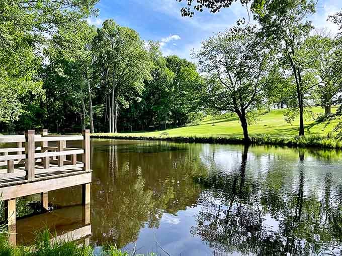 This serene pond mirrors the sky so perfectly, you might need a moment to figure out which way is up.