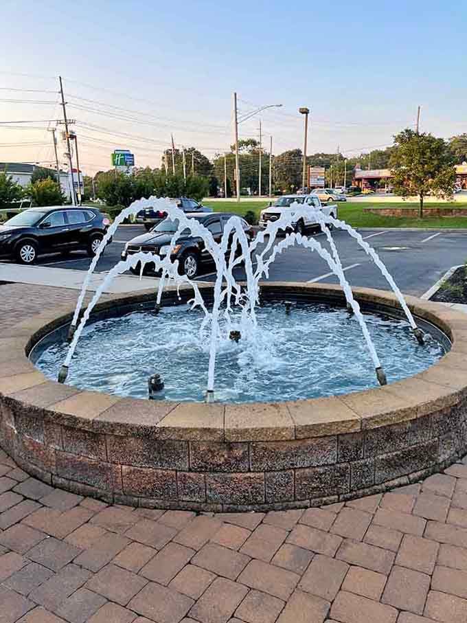 This cheerful fountain dances in the sunlight, reminding us that simple pleasures and public spaces enrich communities without costing anything.