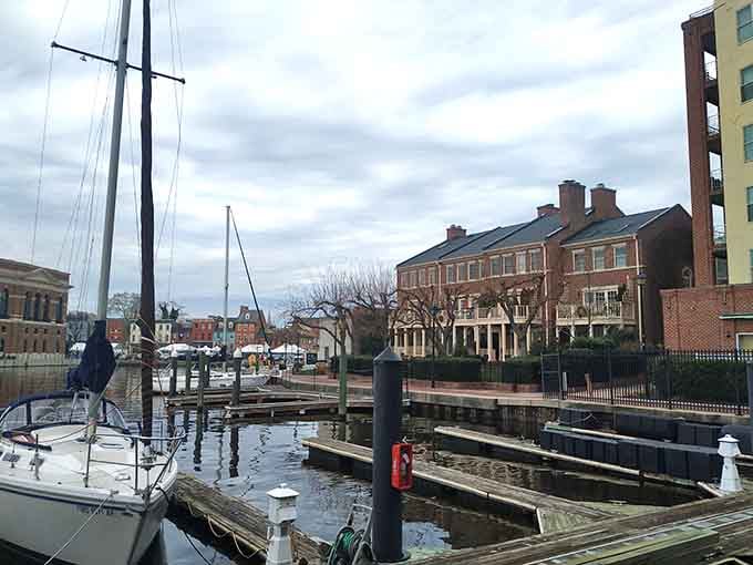 Sailboat masts rise like exclamation points celebrating the marriage of water and community spirit.