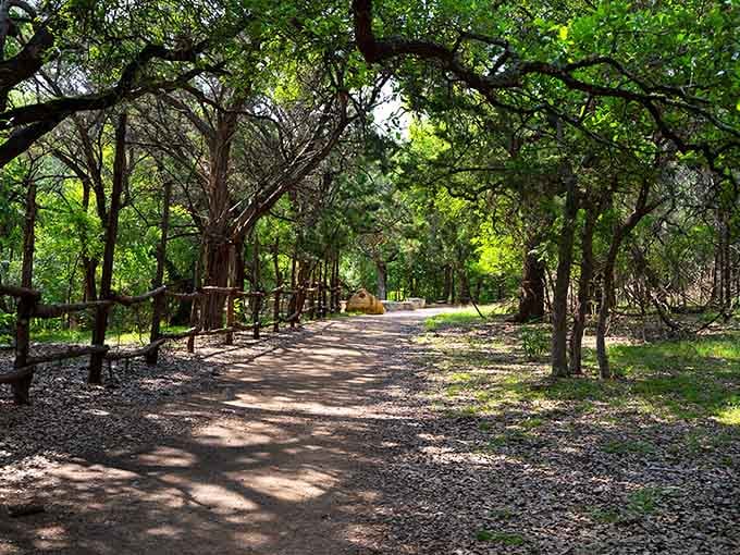 Dappled sunlight filters through the canopy onto a peaceful trail where time seems to slow down considerably.