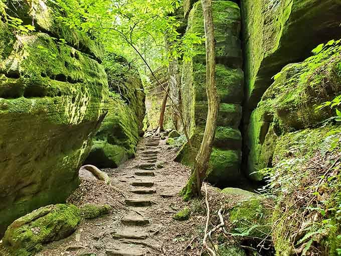 Stone steps lead deeper between towering rock walls draped in emerald moss, like walking through nature's own secret passageway.