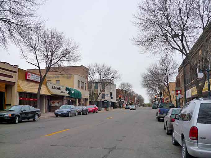 Bare branches frame a downtown where winter heating bills won't force you to choose between warmth and groceries.