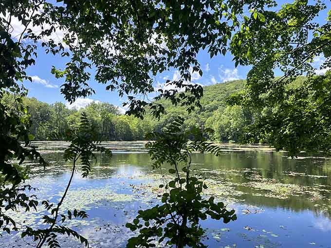 Framed by leafy branches, the tranquil lake reflects summer's vibrant greens—a peaceful scene that changes with the seasons.