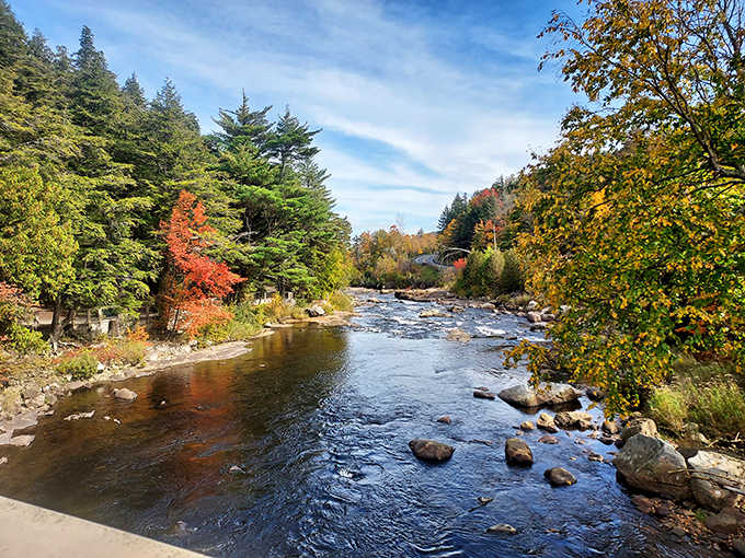 The peaceful river meanders through brilliant fall foliage, painting a scene so perfect it almost looks like a screensaver.