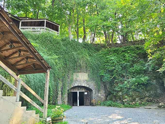 Layered limestone creates a natural archway over emerald water that mirrors the rocky ceiling in perfect stillness.
