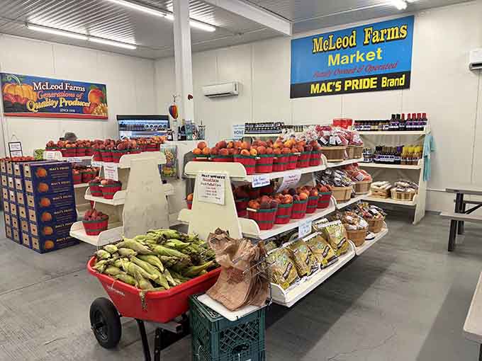 Farm-fresh vegetables pile high in cheerful displays that make grocery store produce sections look downright depressing.