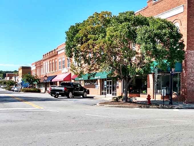 Mature trees provide natural shade over streets where every storefront has been lovingly maintained through decades.