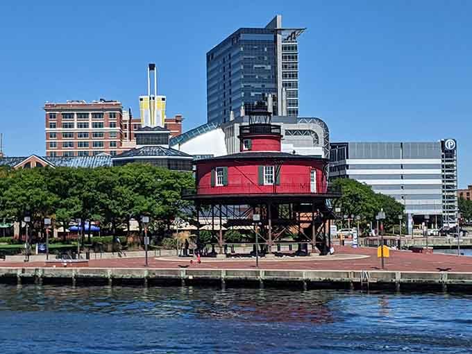 Surrounded by modern buildings, this crimson beauty holds its ground like a grandmother refusing to leave her neighborhood.