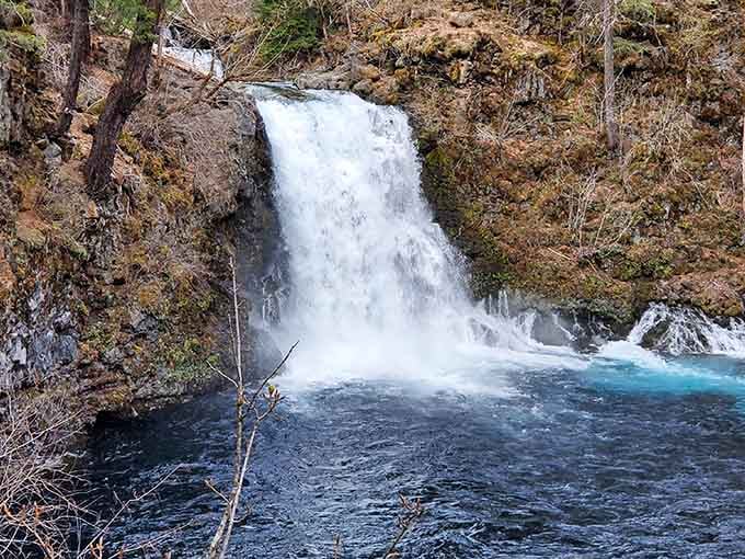 The turquoise pool below this waterfall glows with a color that seems almost too vivid to be real.