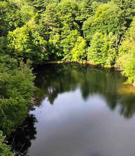 acre forest massachusetts huge ftr