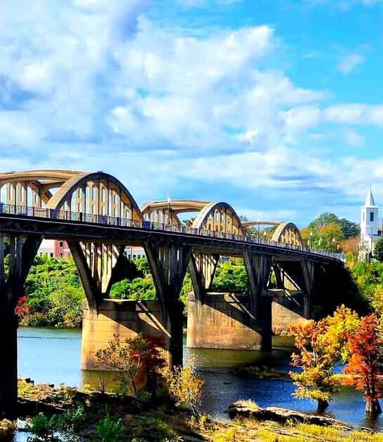 adorable towns alabama movie ftr