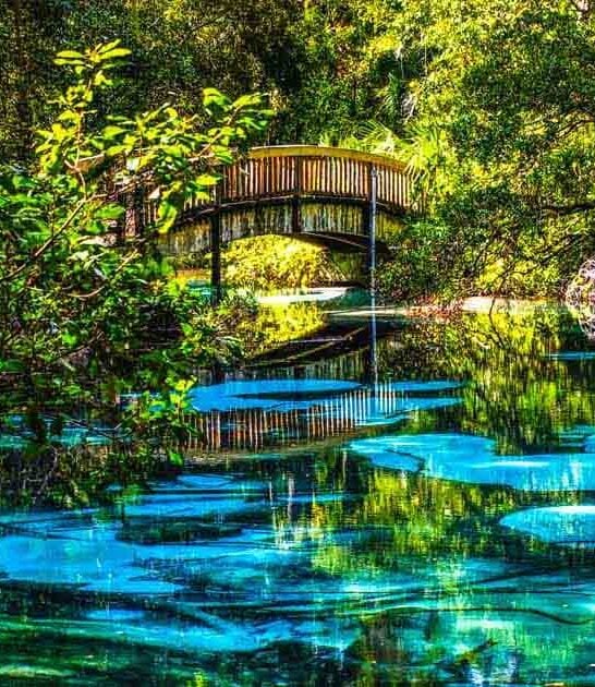 affordable florida road trips ftr