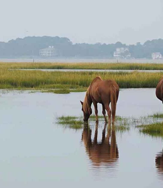 affordable maryland road trips ftr