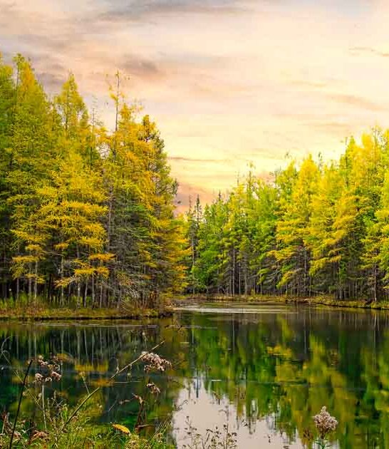 affordable michigan road trips ftr