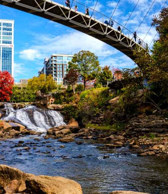 affordable south carolina trips ftr