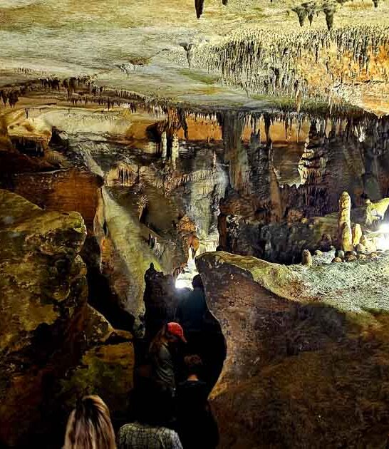 alabama enchanting state park ftr