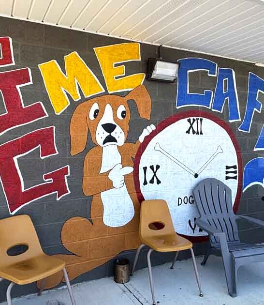 alabama enormous burgers cafe ftr