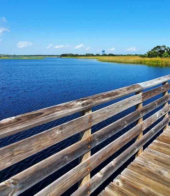 alabama legendary gator spot ftr