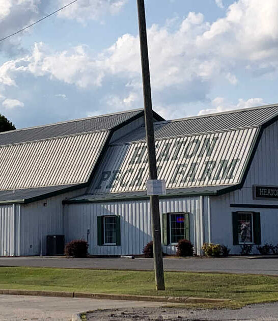 alabama pecan pie spots ftr