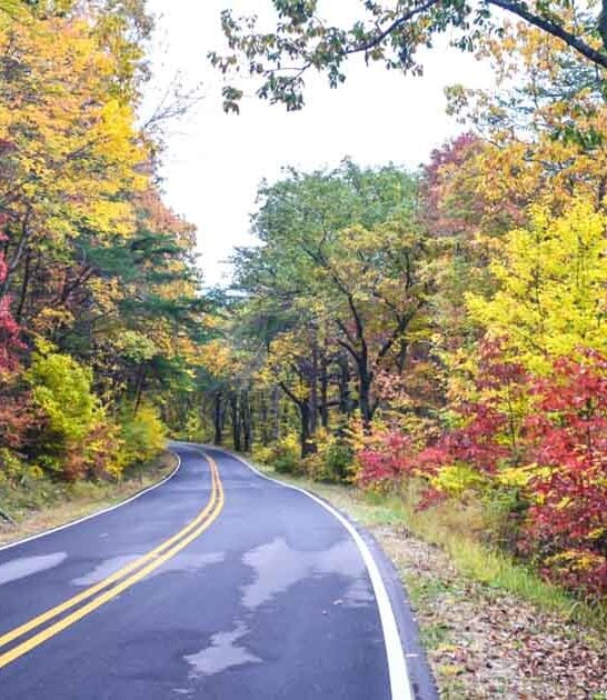This 29-Mile Drive Through Alabama Will Melt Your Stress Without Spending A Penny