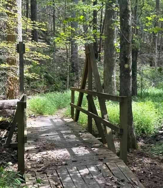 amazing alabama gorgeous hikes ftr