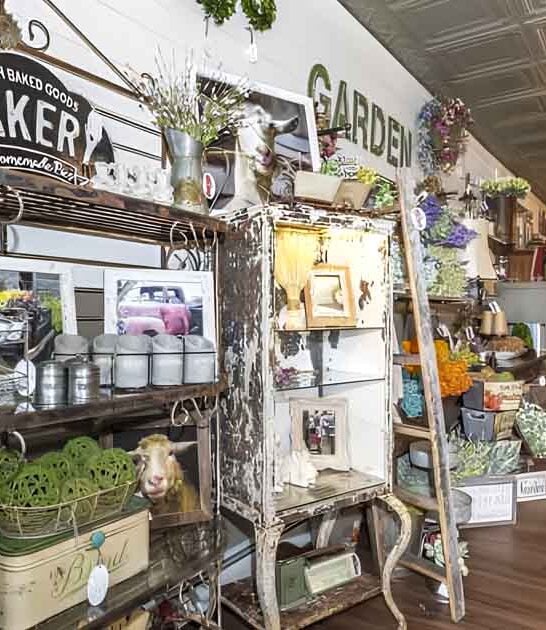 antique haven new york ftr