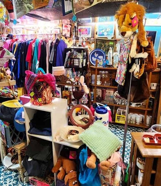 antique large store minnesota ftr