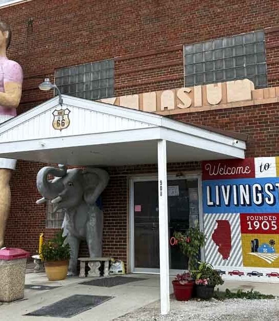 antique mall americana illinois ftr