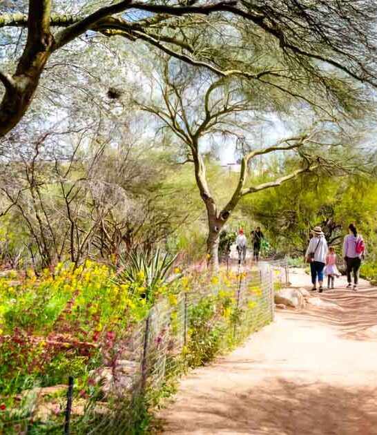 arizona enchanting botanical garden ftr