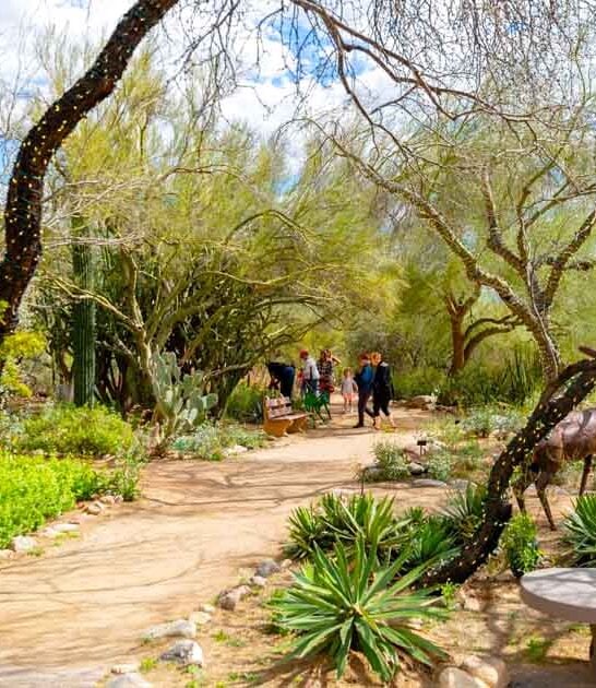 arizona magical botanical garden ftr
