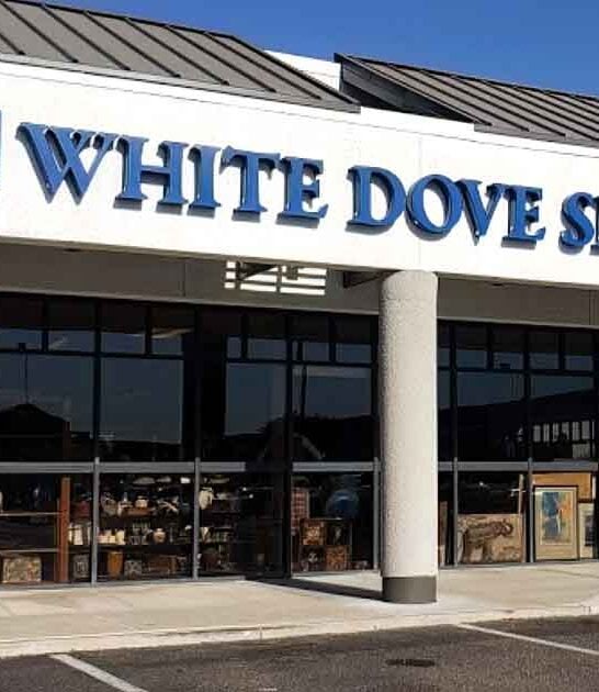 arizona most legendary thrift ftr