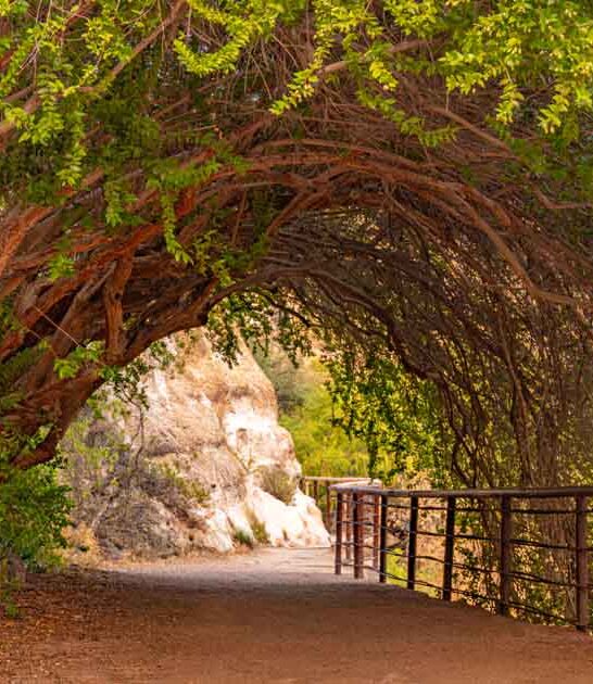 arizona oldest botanical garden ftr