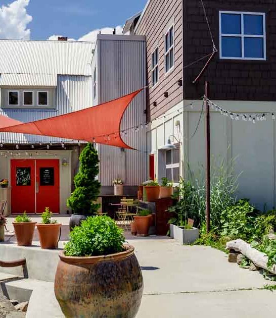 artisan pastries bakery washington ftr