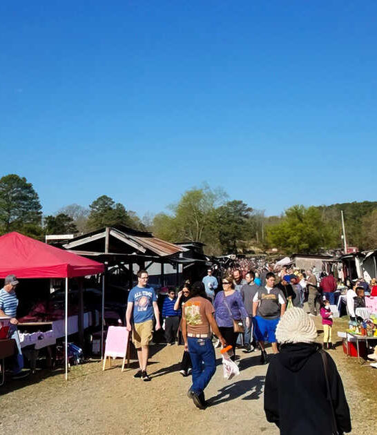 bargain alabama swap meet ftr
