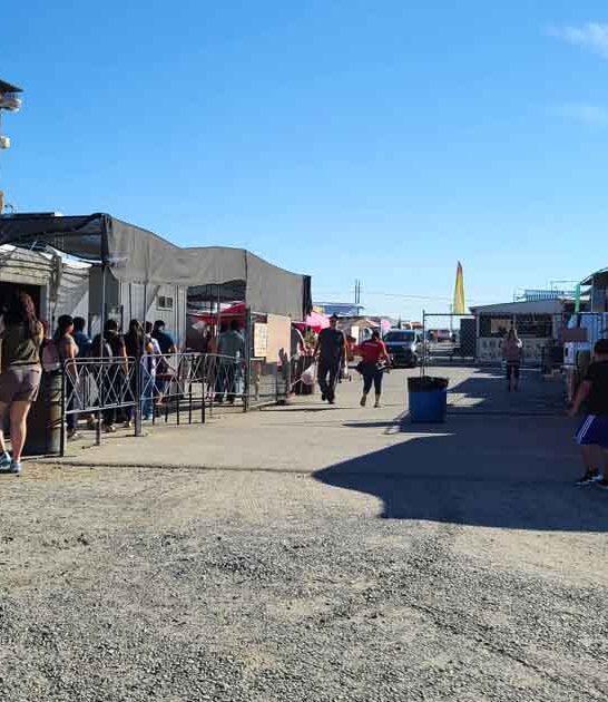 bargain hunters market washington ftr