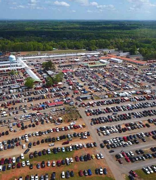 bargain hunters south carolina ftr