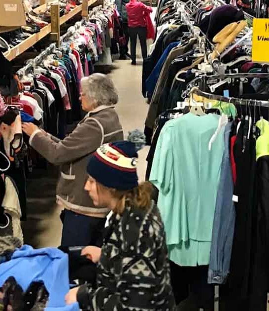 bargain hunting michigan thrift ftr