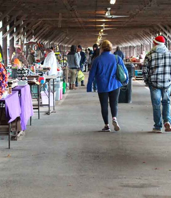 bargains market south carolina ftr