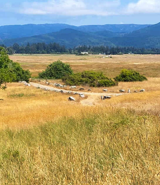 You&rsquo;ve Never Experienced California Quite Like This At This Stunning State Park