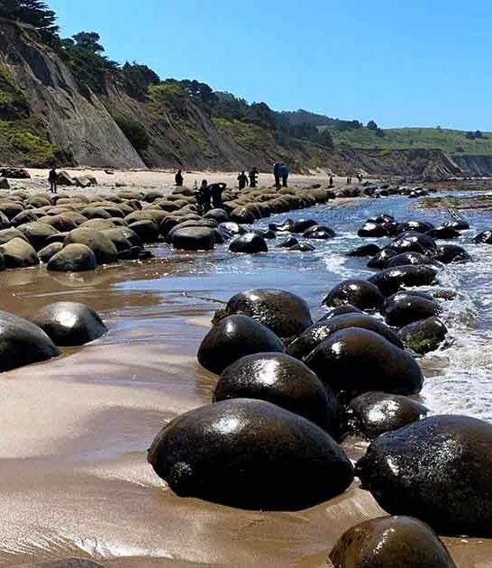 beautiful natural wonders california ftr