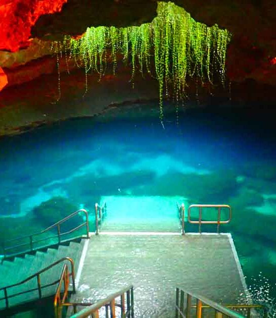 beautiful natural wonders florida ftr