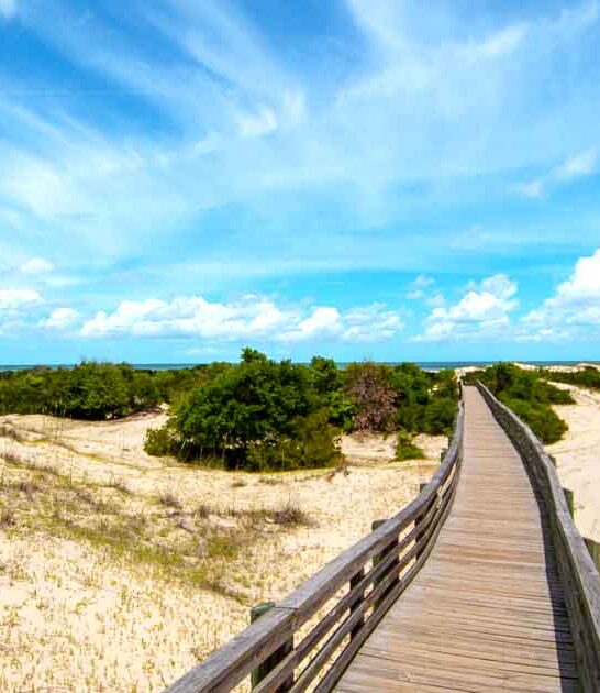 believe affordable georgia trips ftr