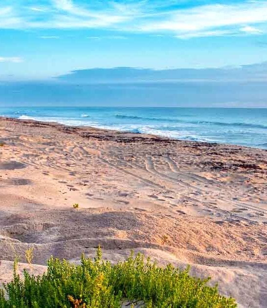 believe fairytale places florida ftr