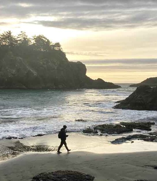 believe stunning beach oregon ftr