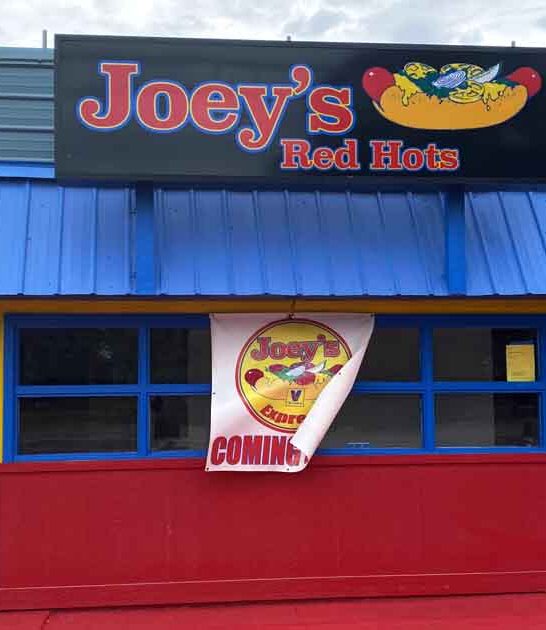 best illinois hot dog ftr