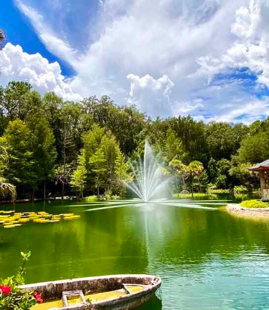 botanical garden florida unforgettable ftr