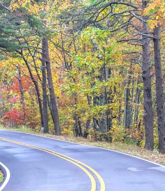 breathtaking alabama roads ftr