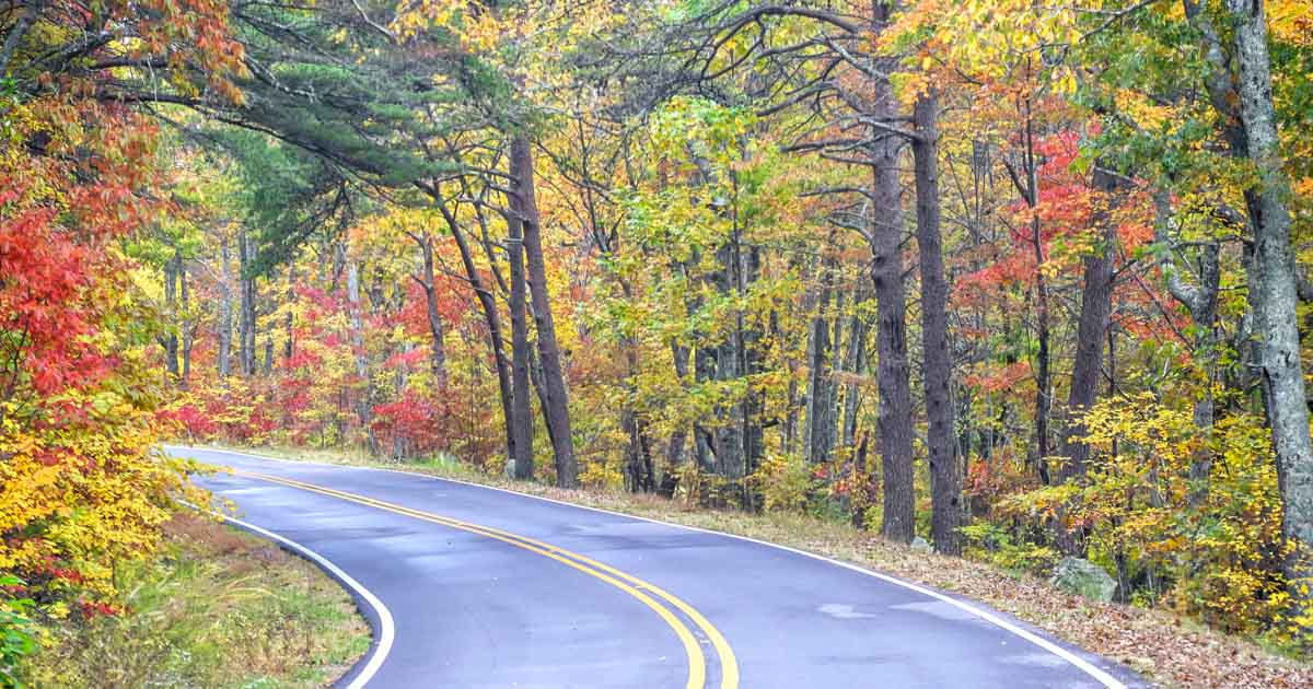 You'll Want To Stop Every Five Minutes On These 6 Breathtaking Alabama ...