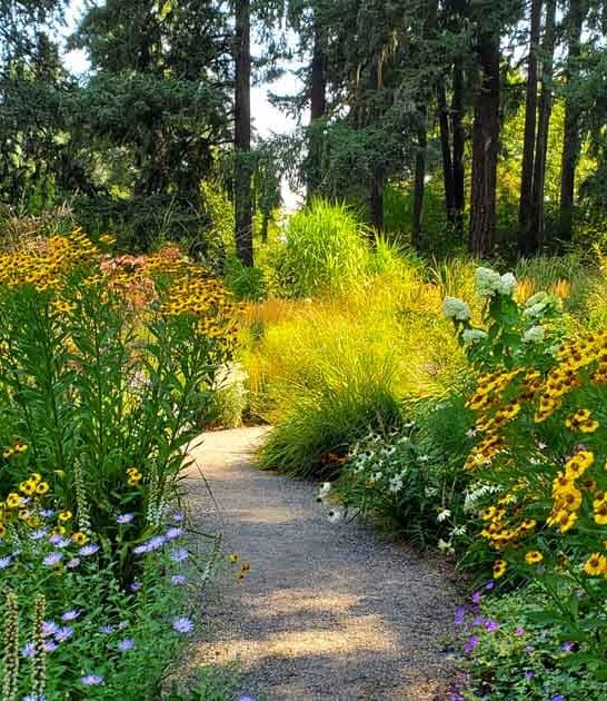 breathtaking botanical garden oregon ftr