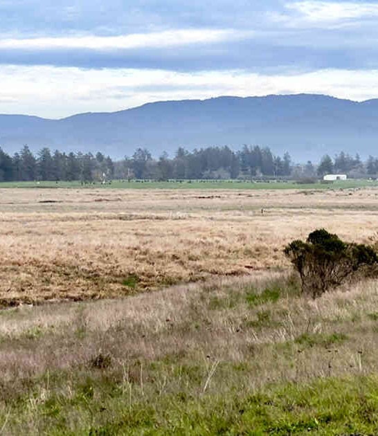 Locals Are Keeping This Breathtaking California State Park All To Themselves